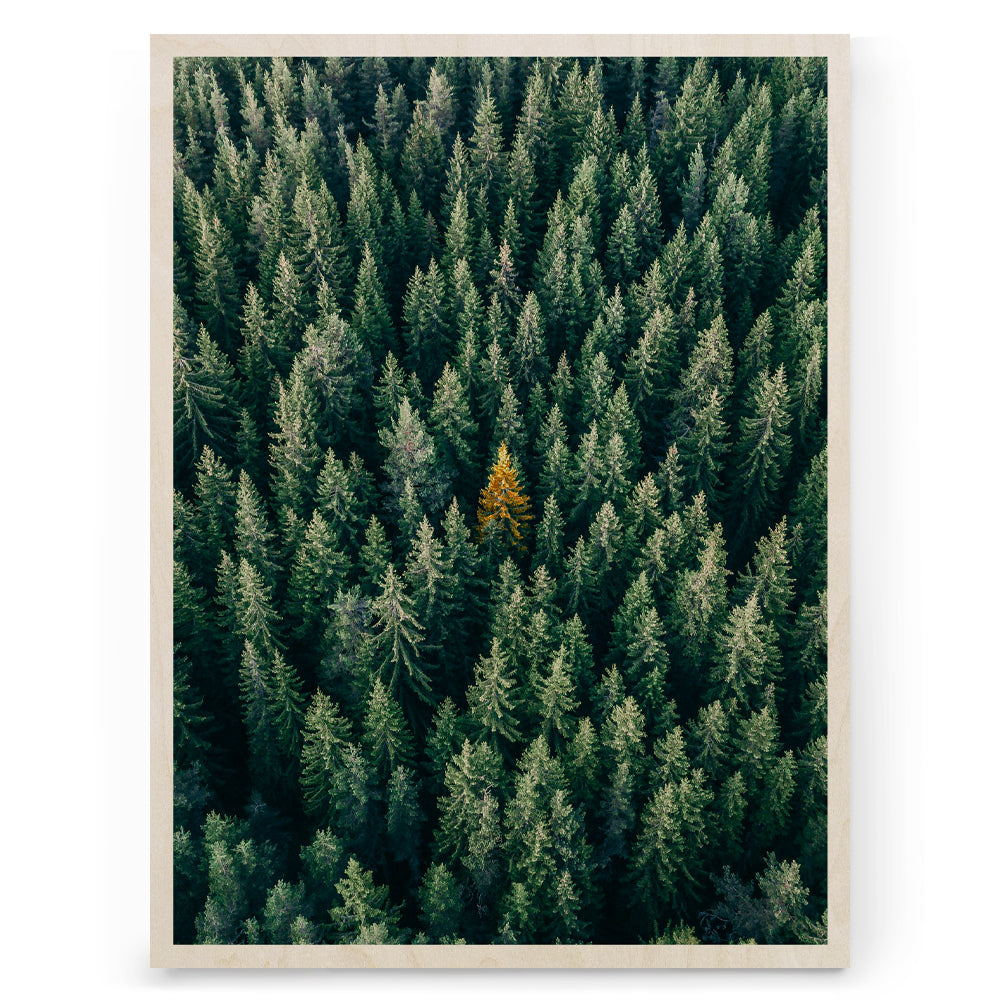 Trees – Plywoodprint